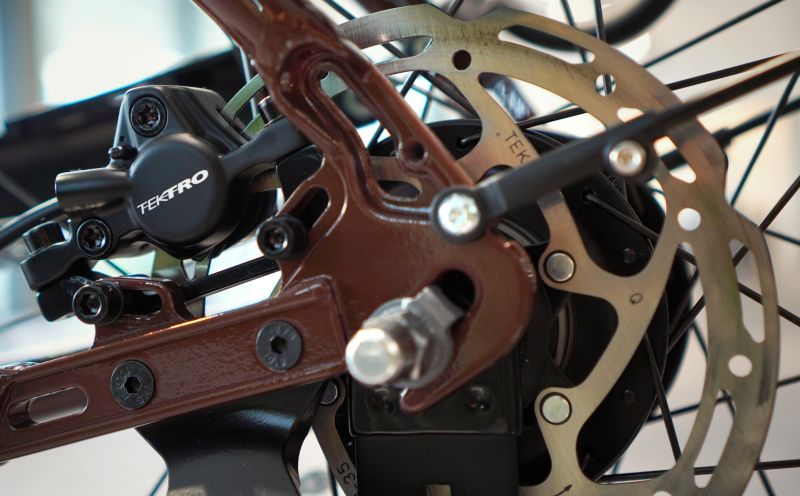 Buy LIQBIKE Comfort Active Line Plus 545Wh freewheel online