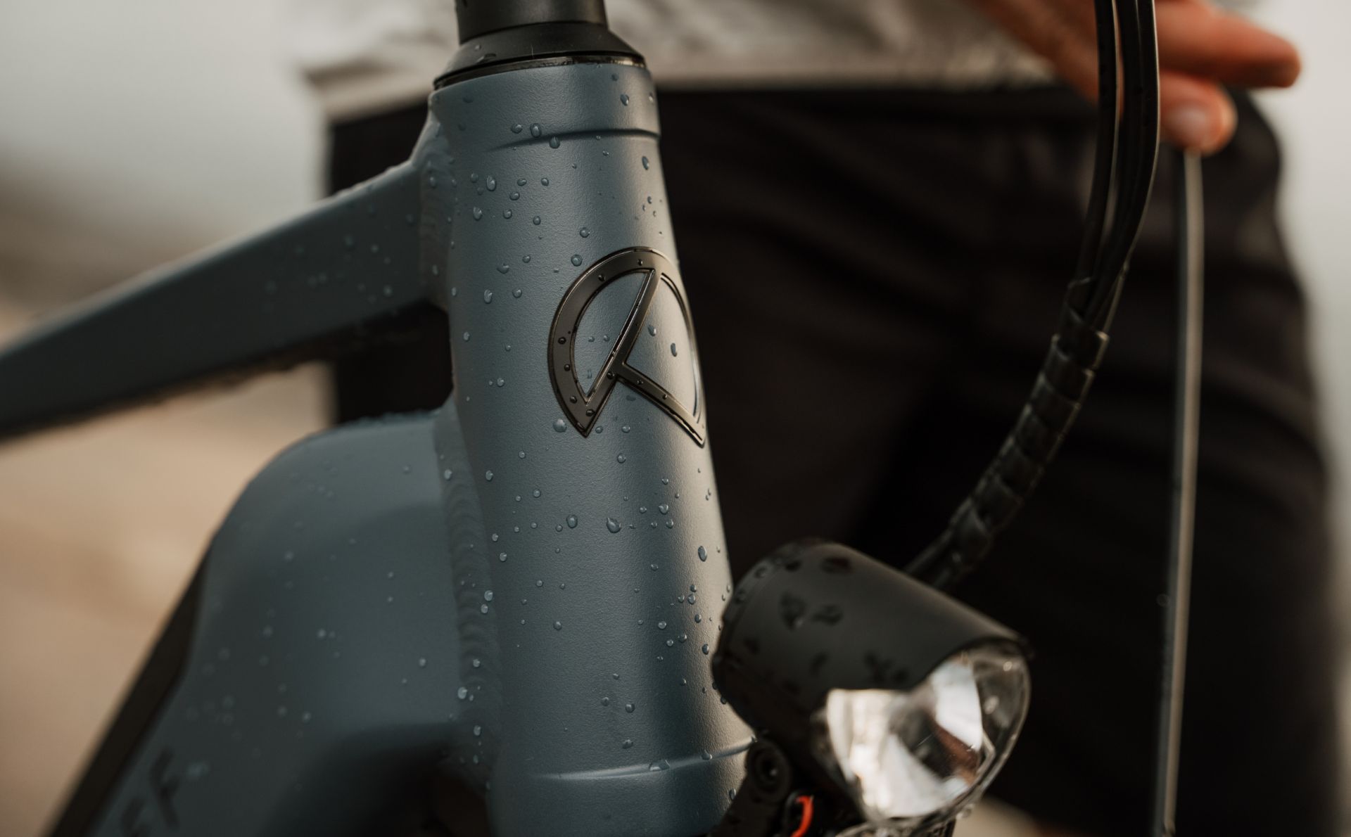 Buy Kalkhoff Entice 5.B Move+ LTD Performance Line CX 625 Wh online