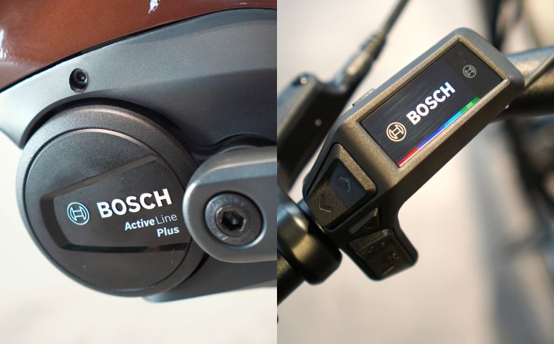 Buy LIQBIKE Comfort Active Line Plus 545Wh freewheel online