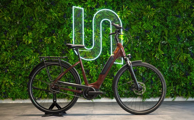 Buy LIQBIKE Comfort Active Line Plus 545Wh freewheel online